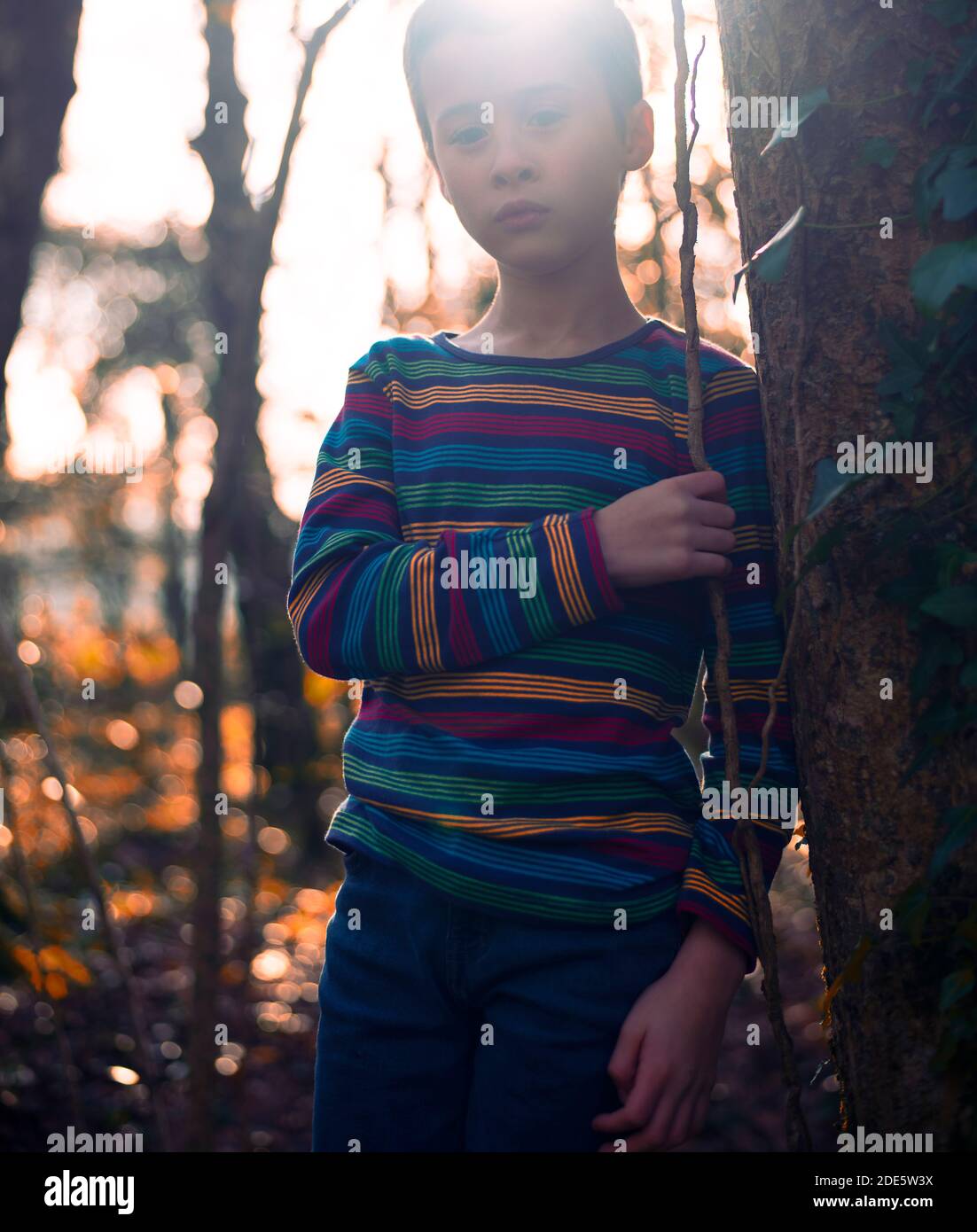 Children playing in the woods hi-res stock photography and images - Alamy