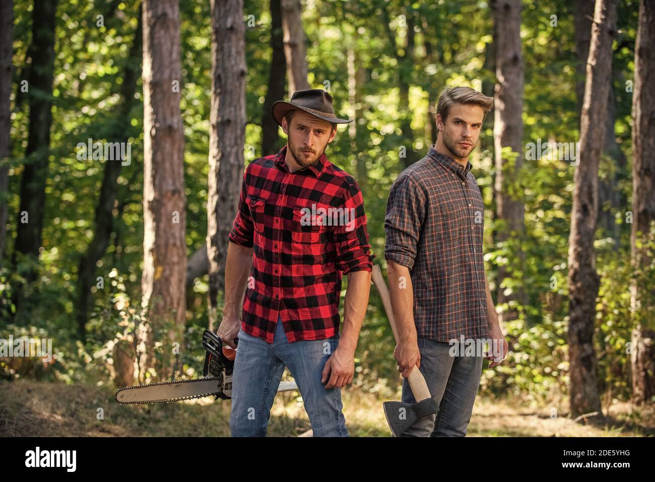 Enjoying summer together. search firewood for picnic campfire ...