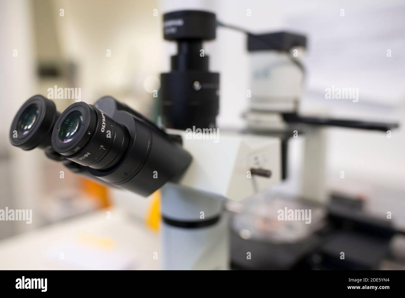 Close up shot microscope hi-res stock photography and images - Alamy