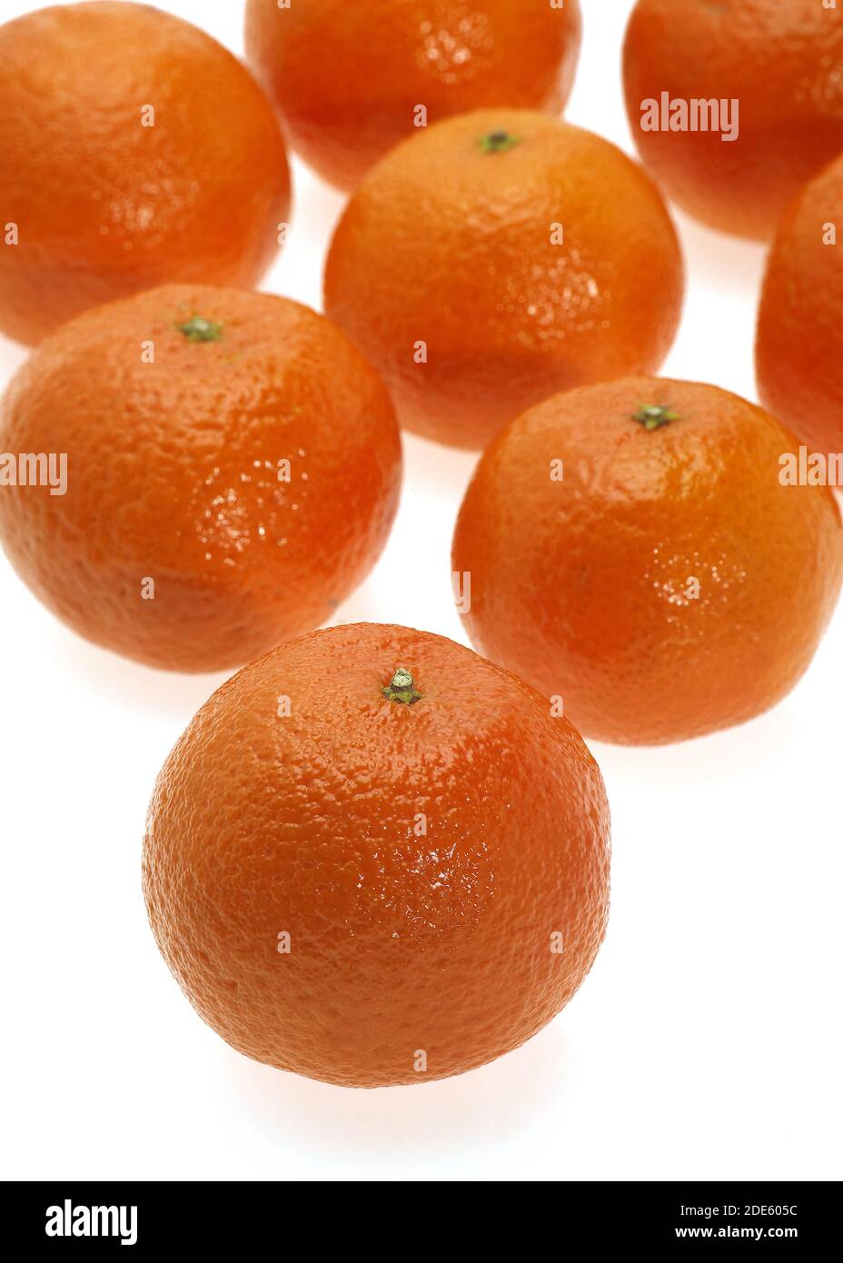 Clementine Fruit, citrus reticulata against White Background Stock ...