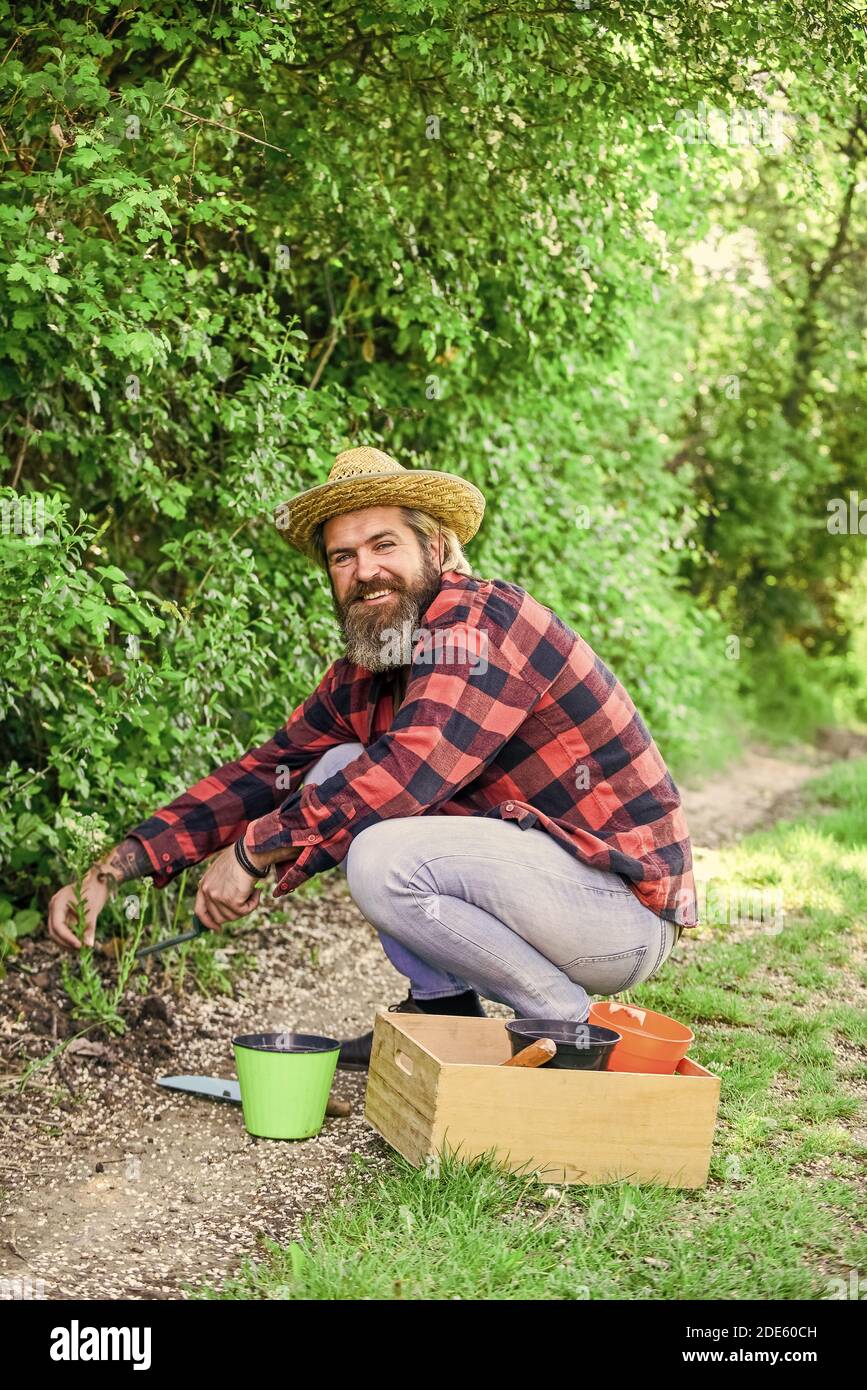 Love nature. Planting trees and shrubs. Earth day. Shade tolerant ...