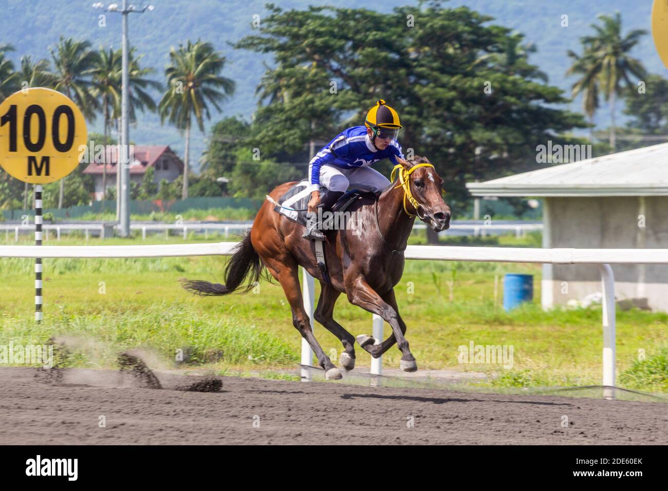 Philippine horse racing hi-res stock photography and images - Alamy
