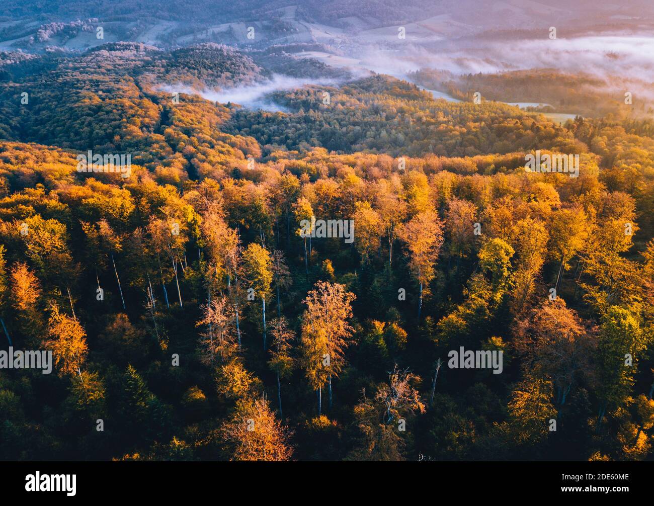 Solina Lake area. Subcarpathia, Poland Stock Photo - Alamy
