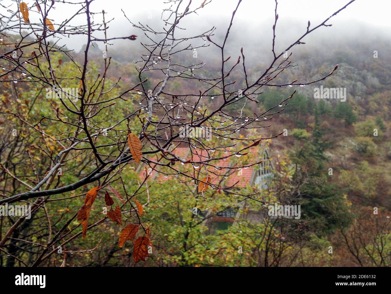 Wet and rainy hi-res stock photography and images - Alamy