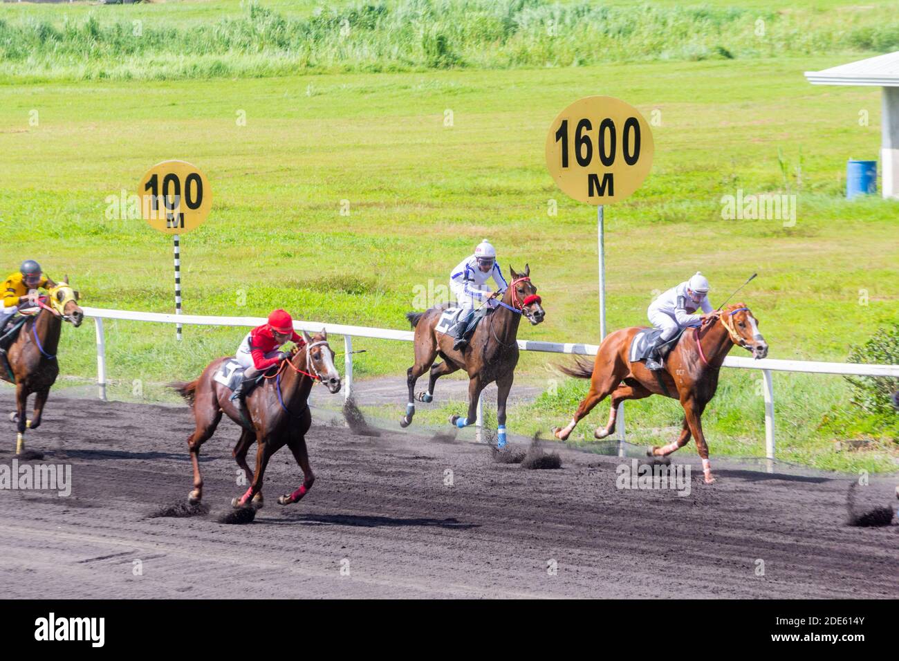 Philippine horse racing hi-res stock photography and images - Alamy