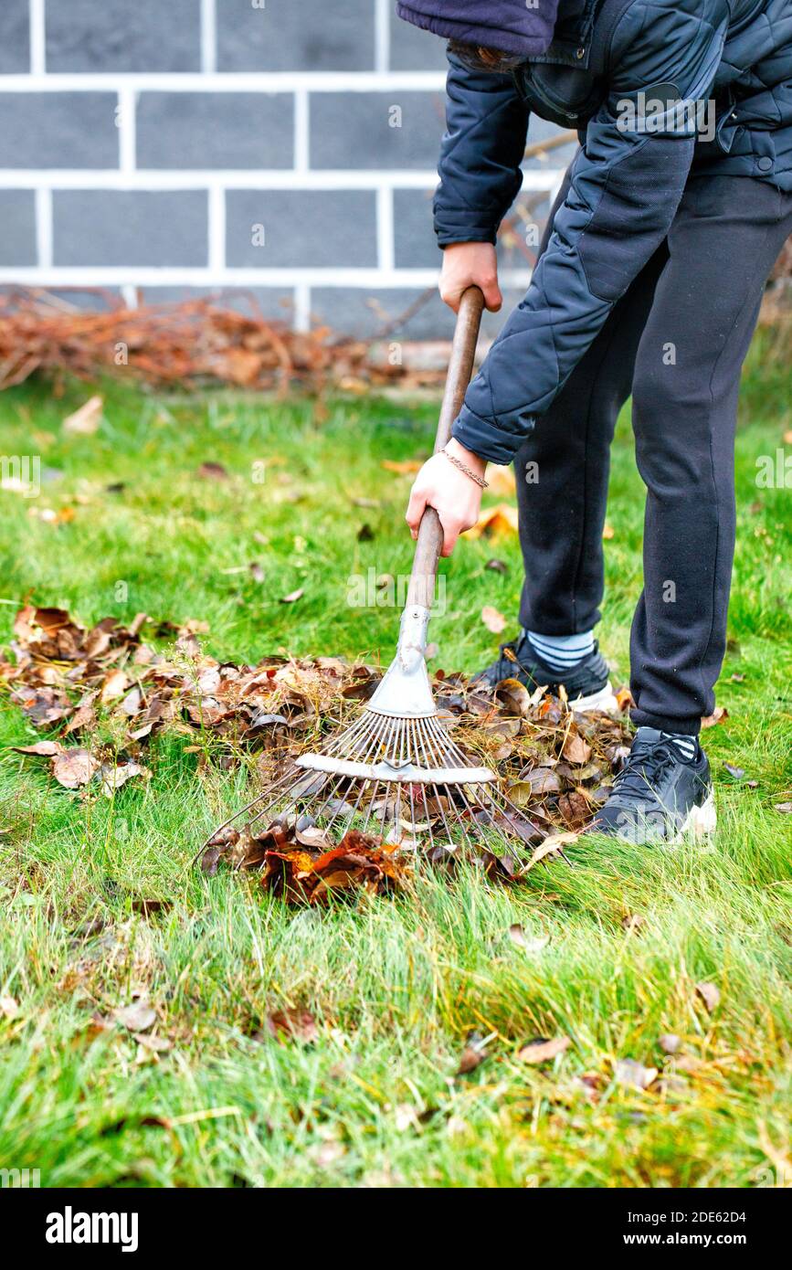 Rake vertical hi-res stock photography and images - Alamy