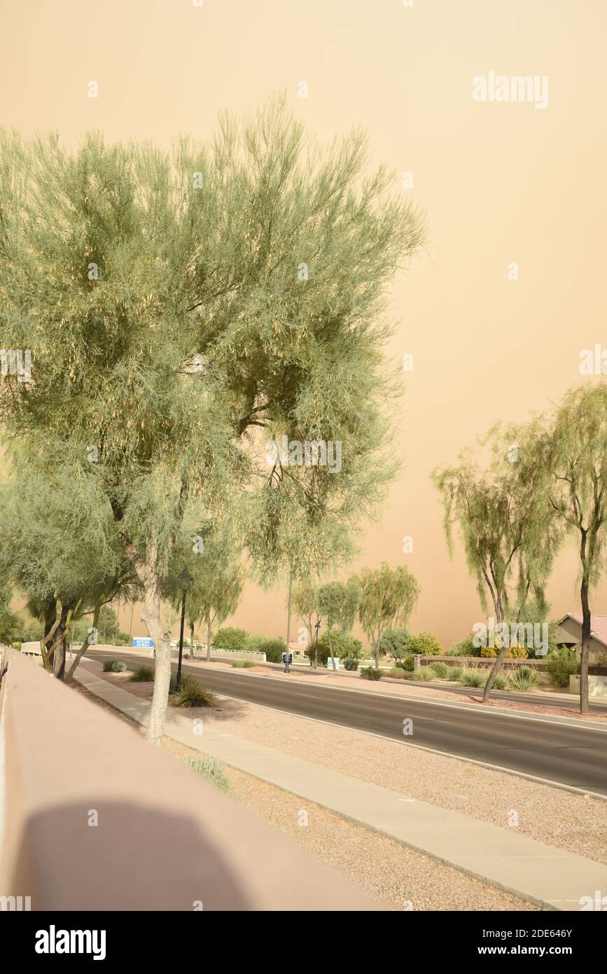 Arizona Dust storm blowing over a yard Stock Photo - Alamy
