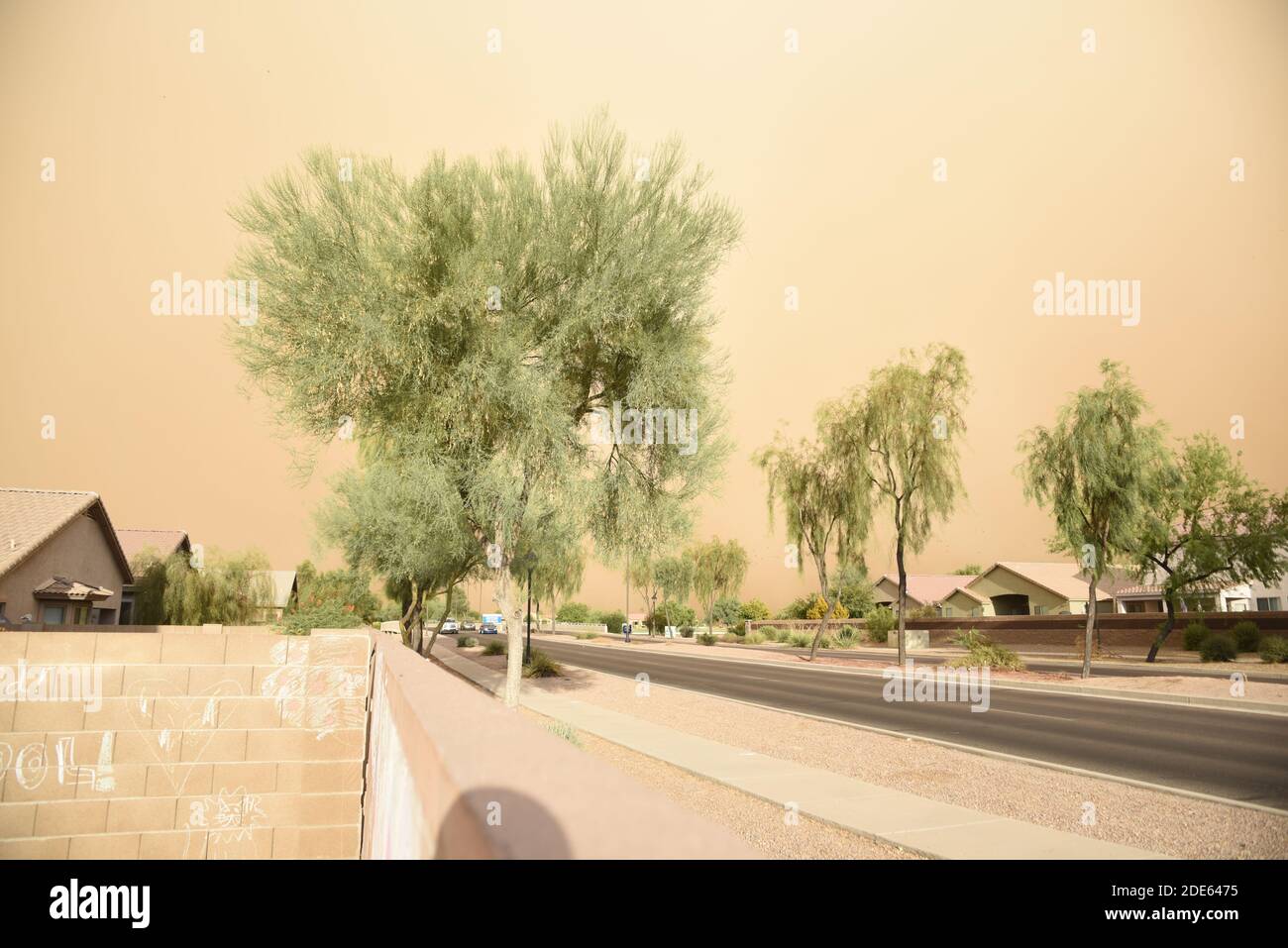 Arizona Dust storm blowing over a yard Stock Photo - Alamy