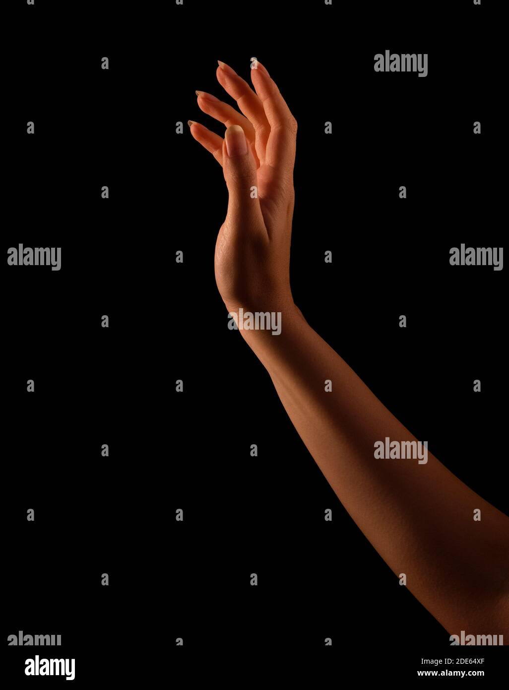 Beautiful Woman's Hand in Rim Light Stock Photo - Alamy