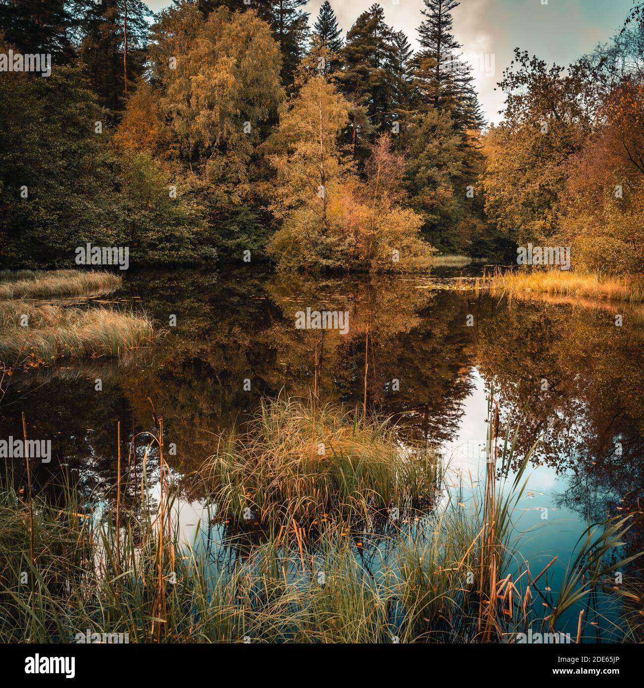 Person and landscape hi-res stock photography and images - Alamy