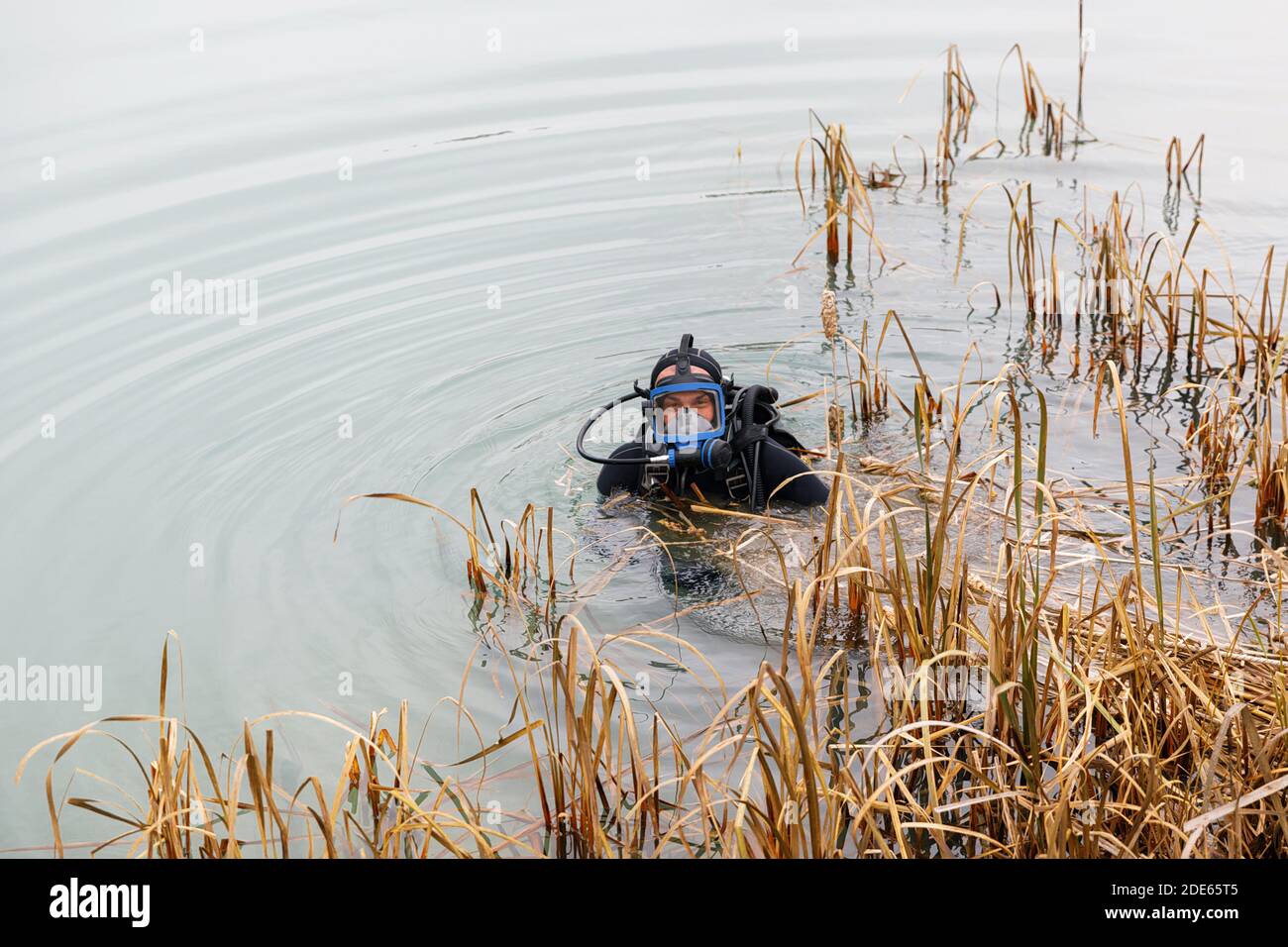 A lifeguard in a wetsuit is preparing to dive into the pond. Search at ...