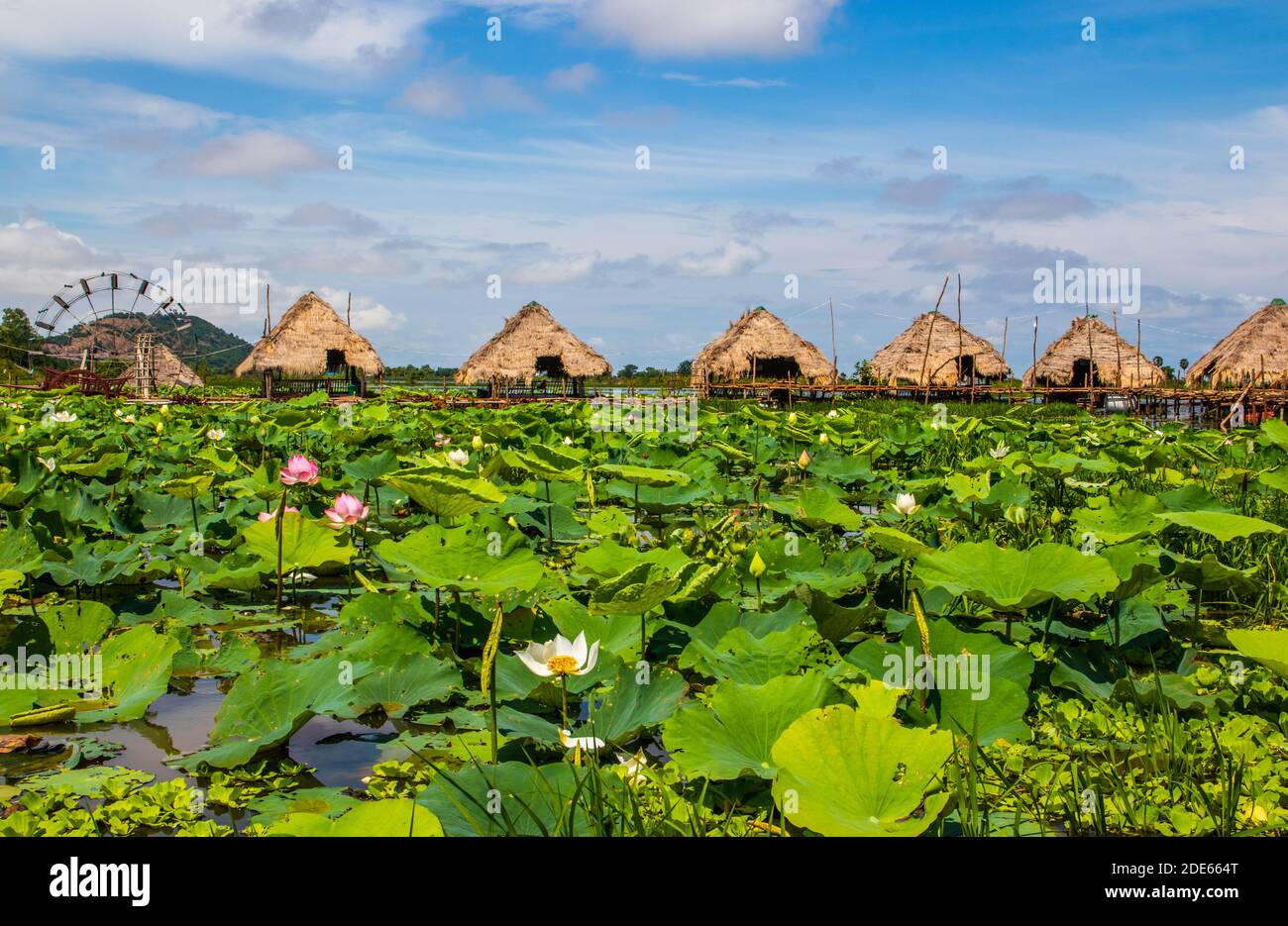 Tonle sap sea near Siem Reap and Angkor in Cambodia Asia Stock Photo ...