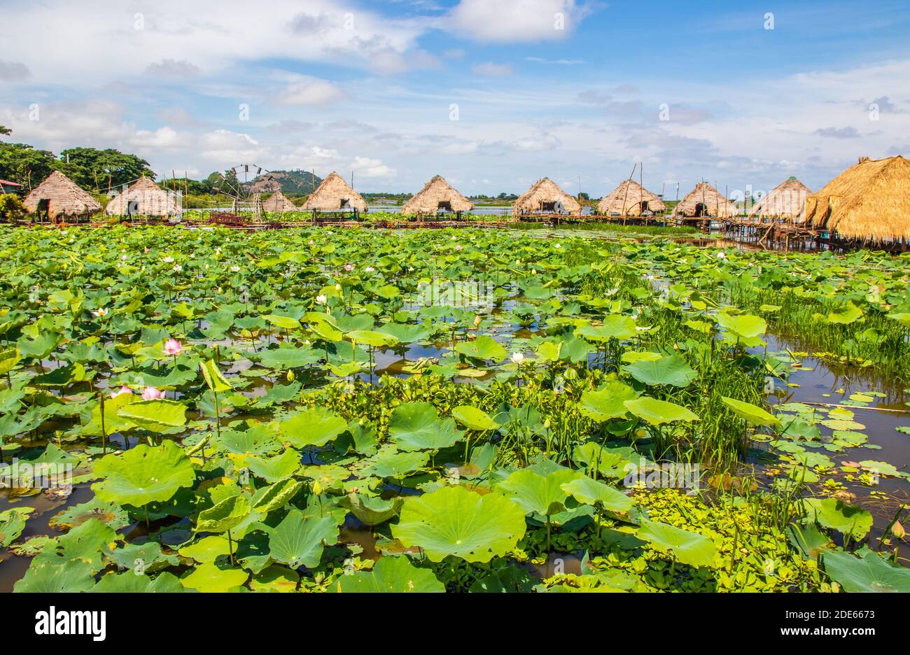 Tonle sap sea near Siem Reap and Angkor in Cambodia Asia Stock Photo ...