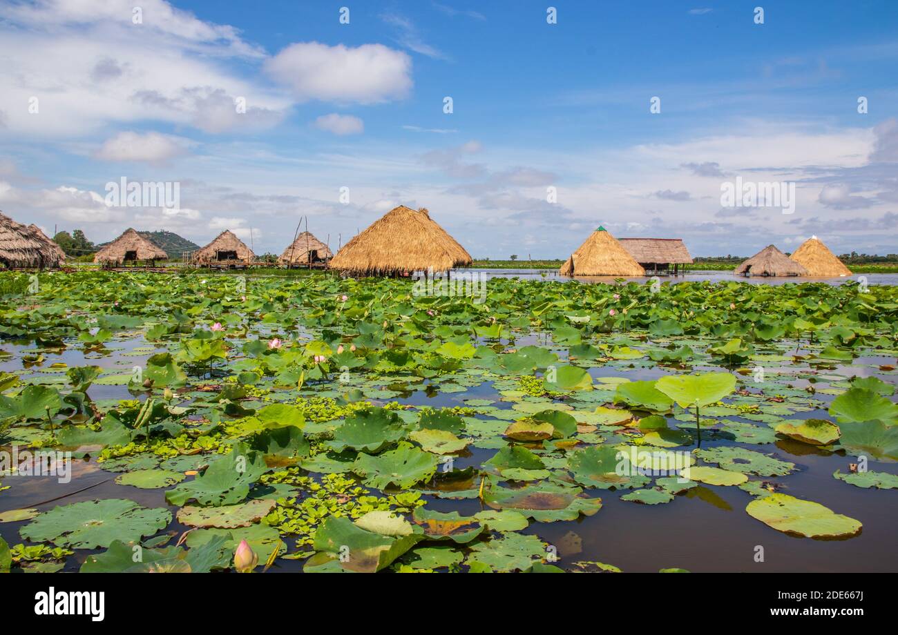 Tonle sap sea near Siem Reap and Angkor in Cambodia Asia Stock Photo ...