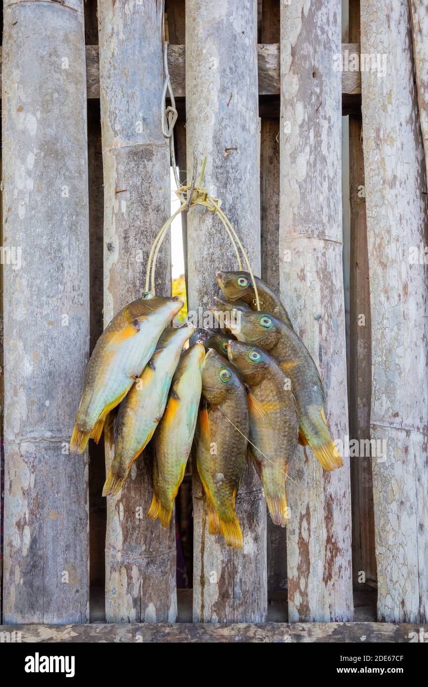 Freshly caught fish sold in Sulu, Philippines Stock Photo - Alamy