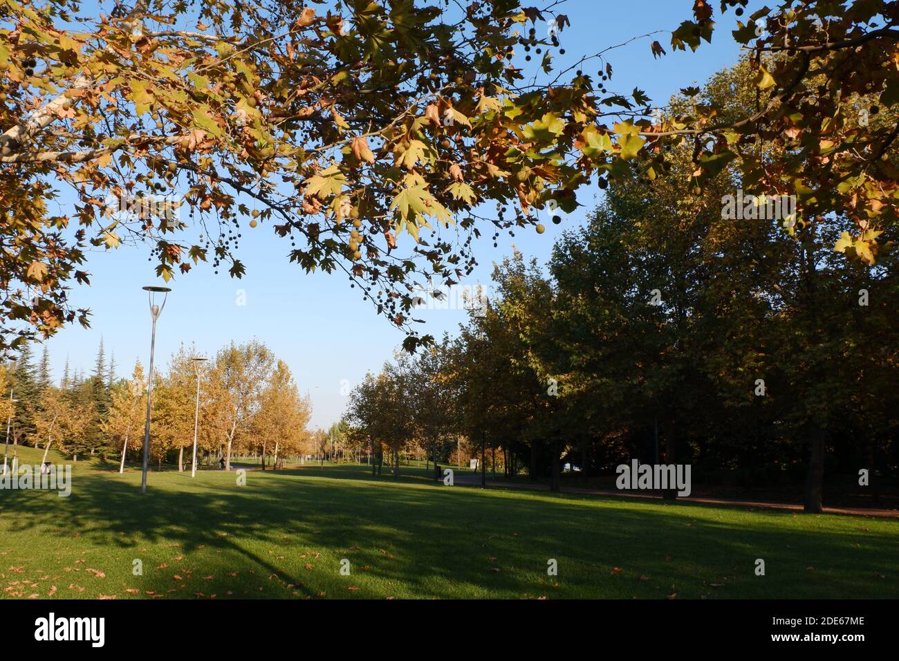 Street views no park hi-res stock photography and images - Alamy