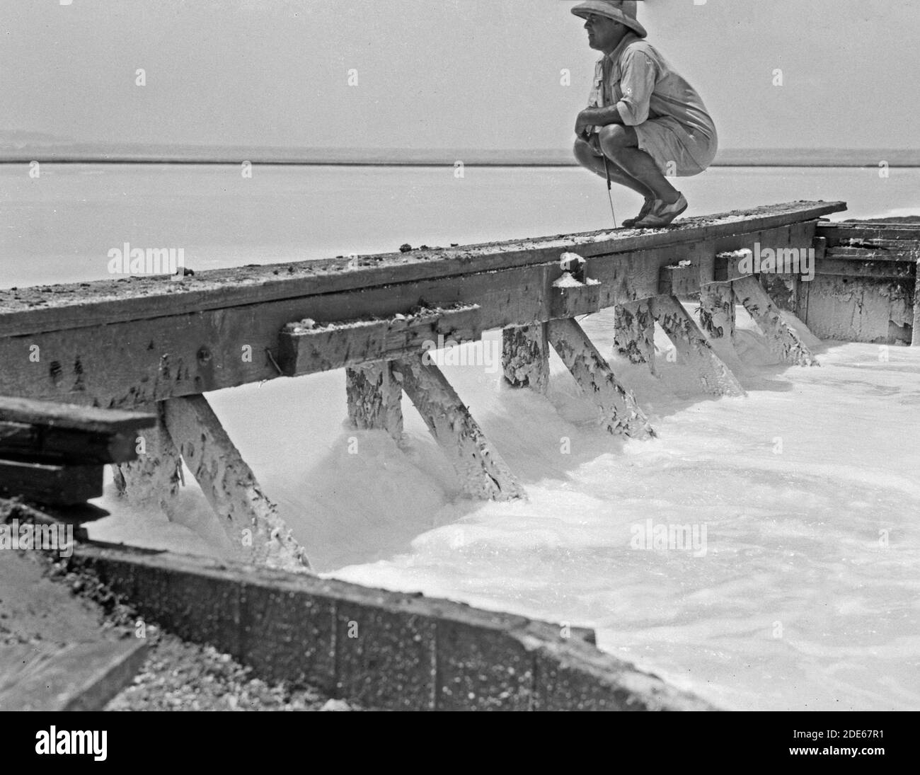 Palestine potash Black and White Stock Photos & Images - Alamy