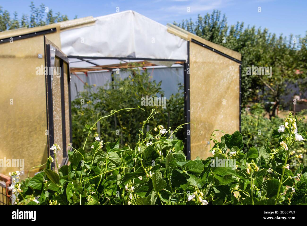 Hothouse hi-res stock photography and images - Alamy