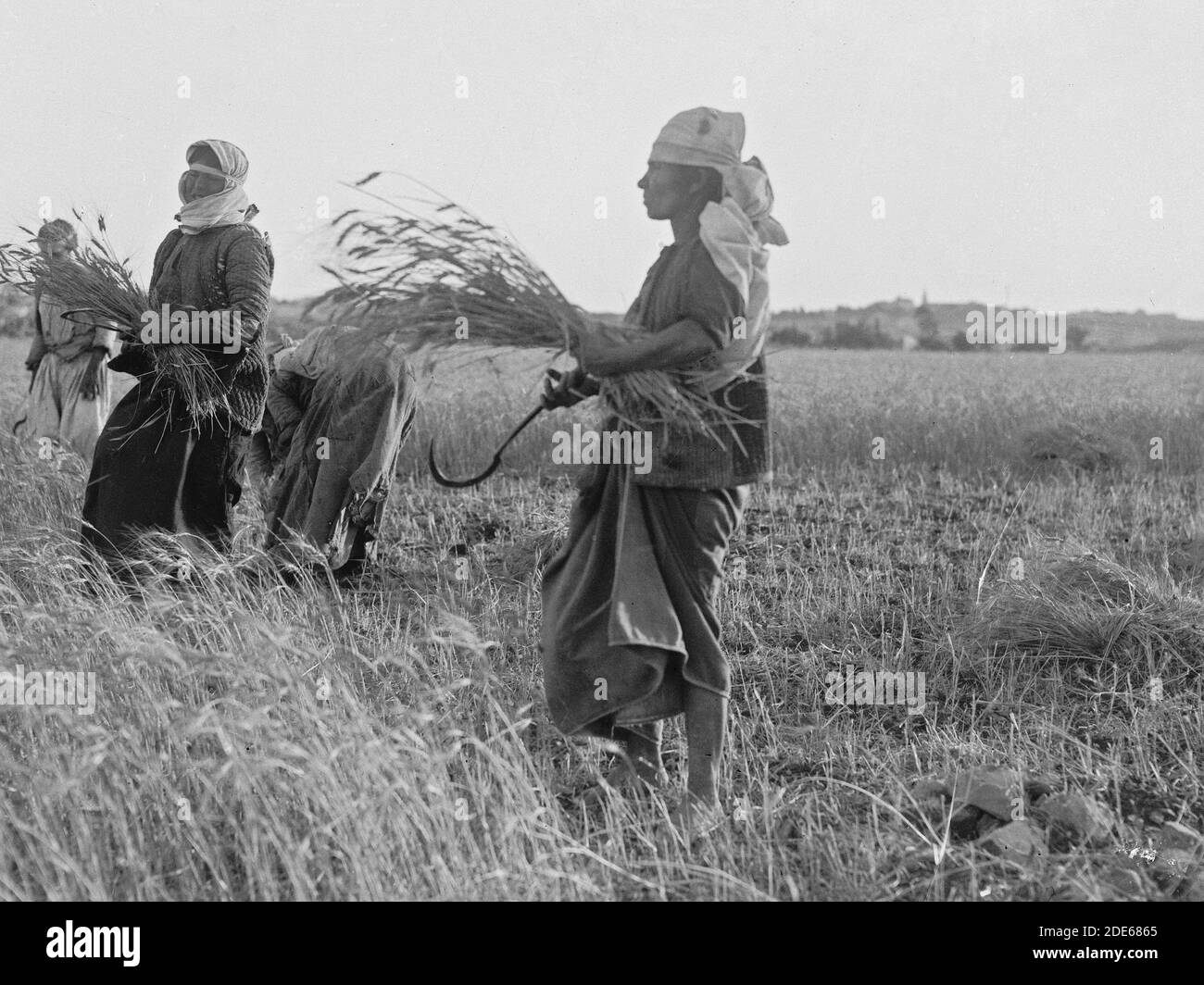 Reaping scenes hi-res stock photography and images - Alamy