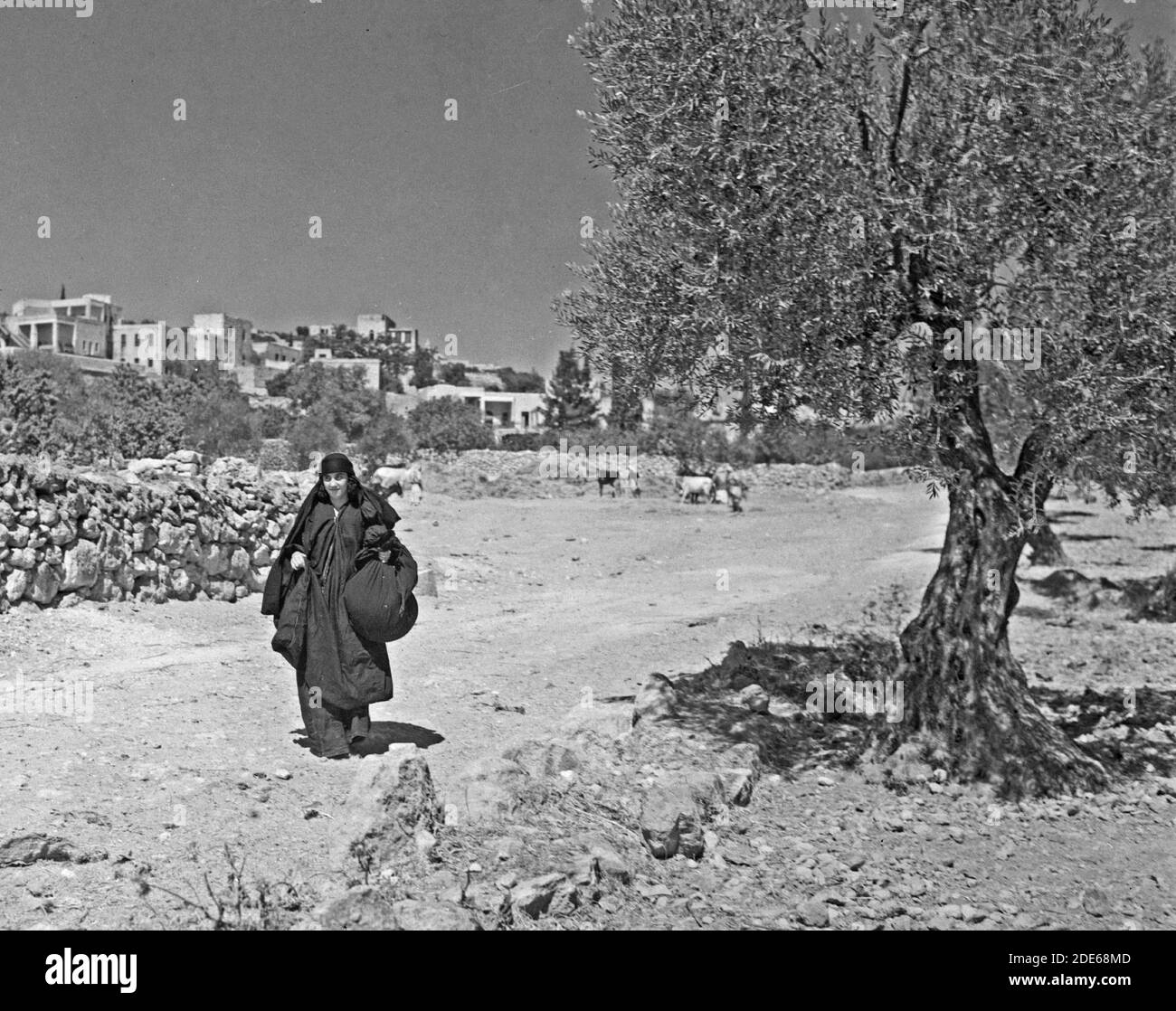 "Middle East History - ""Ruth"" story. ""Ruth"" story. ""Ruth ...