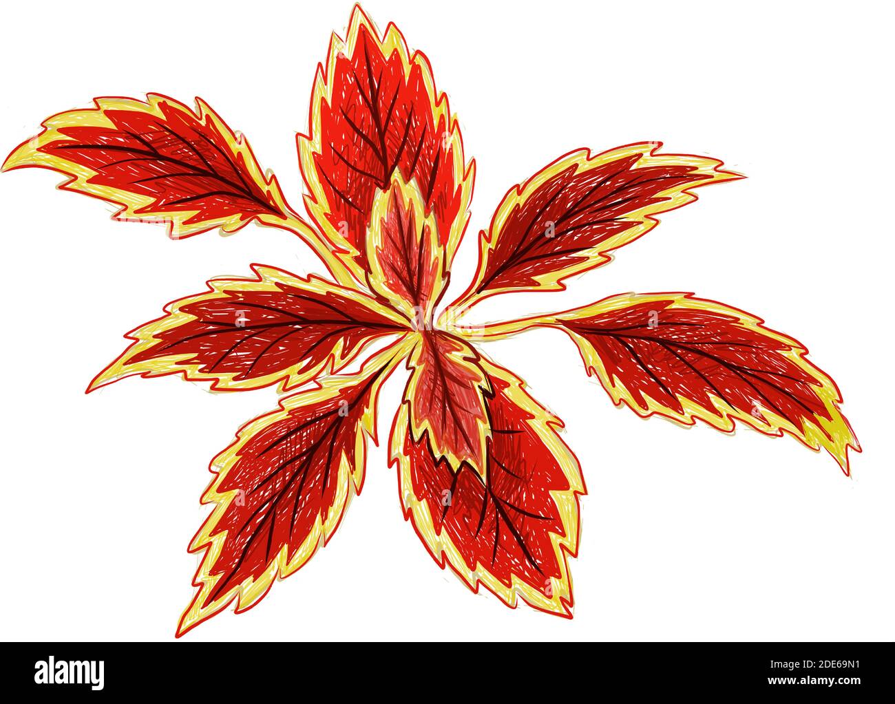 Ecological Concept, Illustration of Beautiful Purple Coleus ...