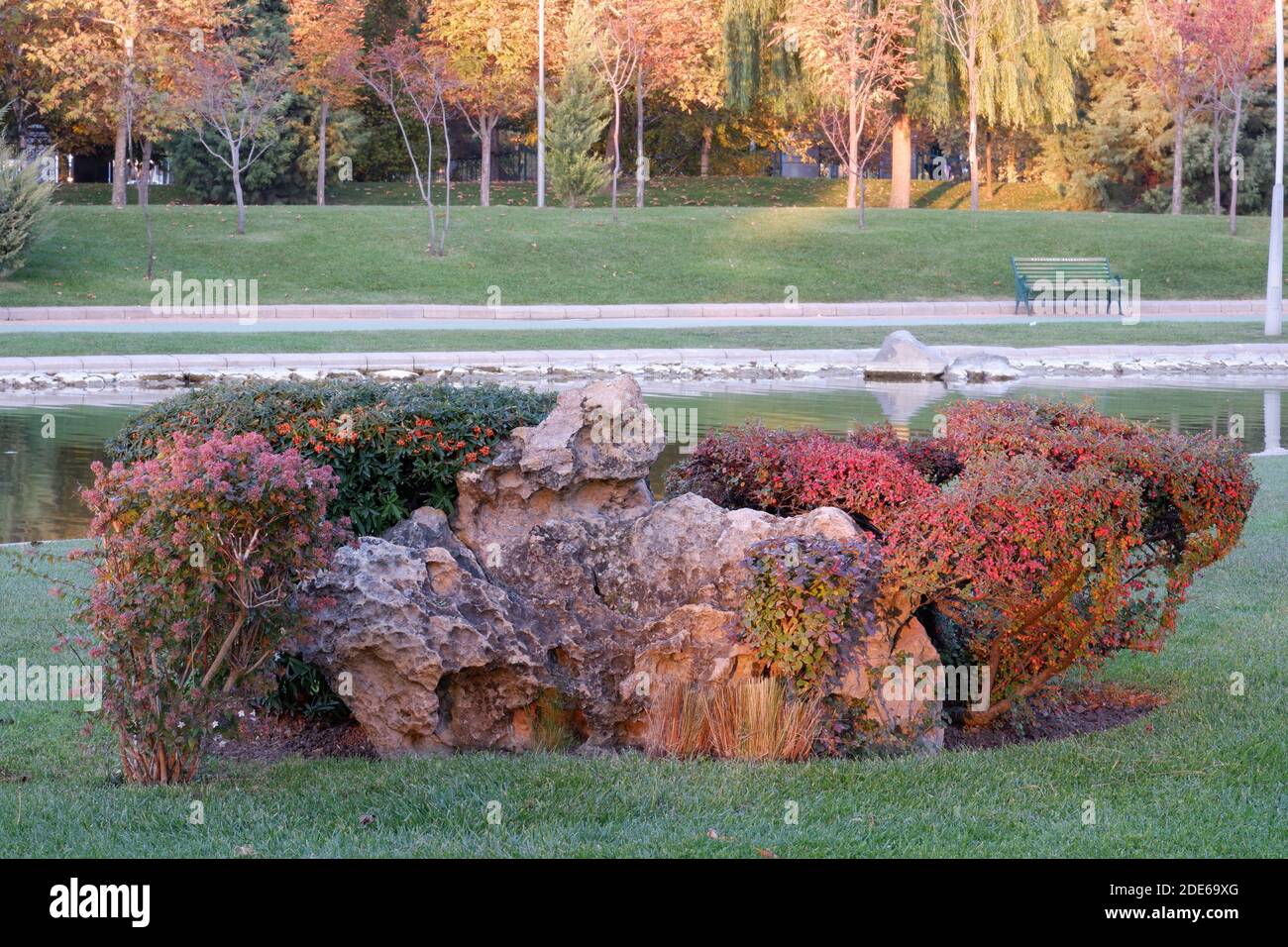 Decorative bushes hi-res stock photography and images - Alamy