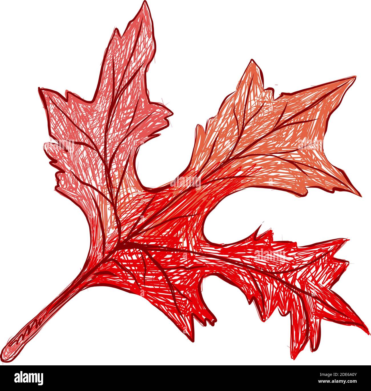 Ecological Concept, Illustration of Fresh Green Hibiscus, Rose Mallow ...