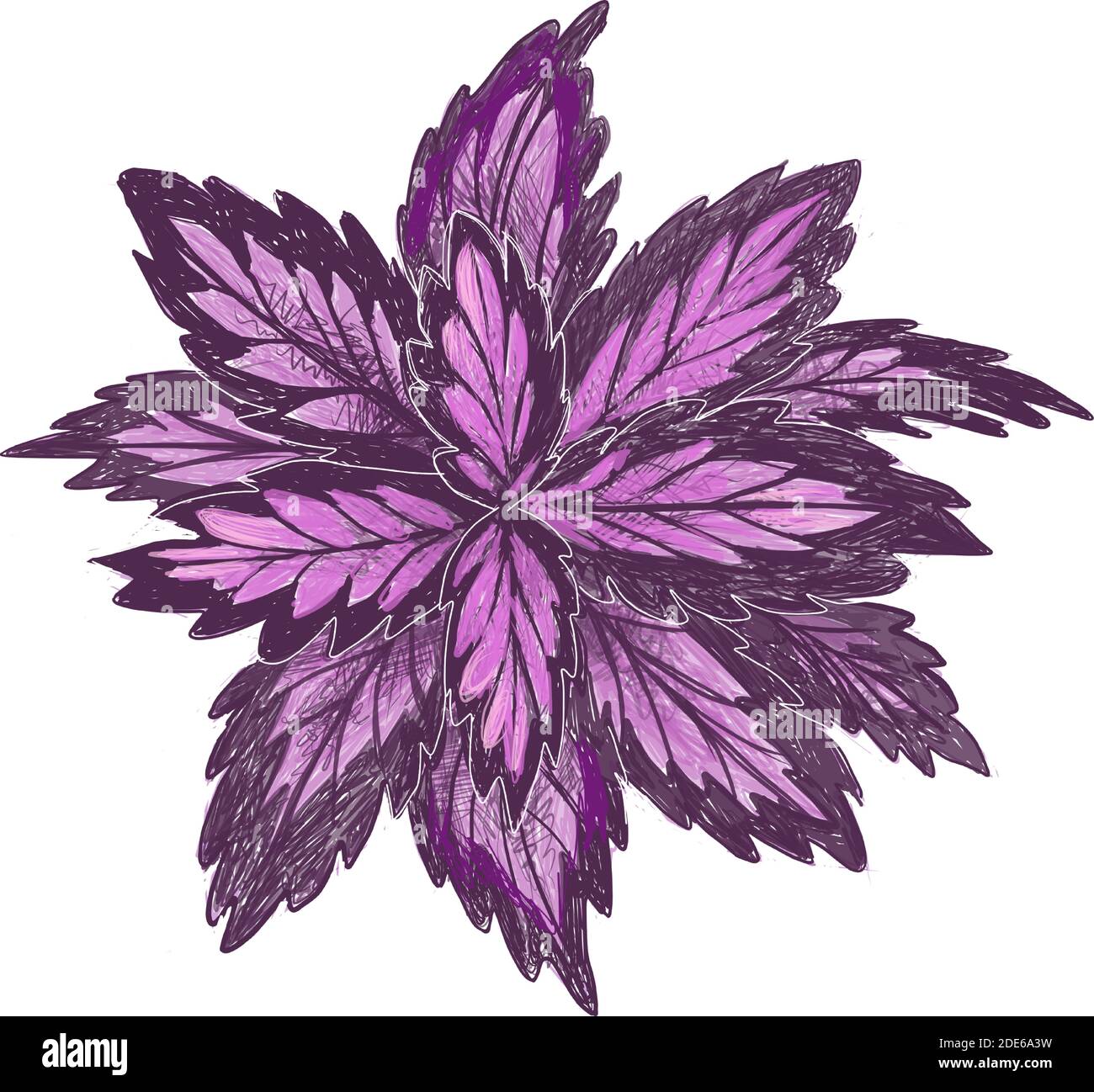 Ecological Concept, Illustration of Beautiful Purple Coleus ...