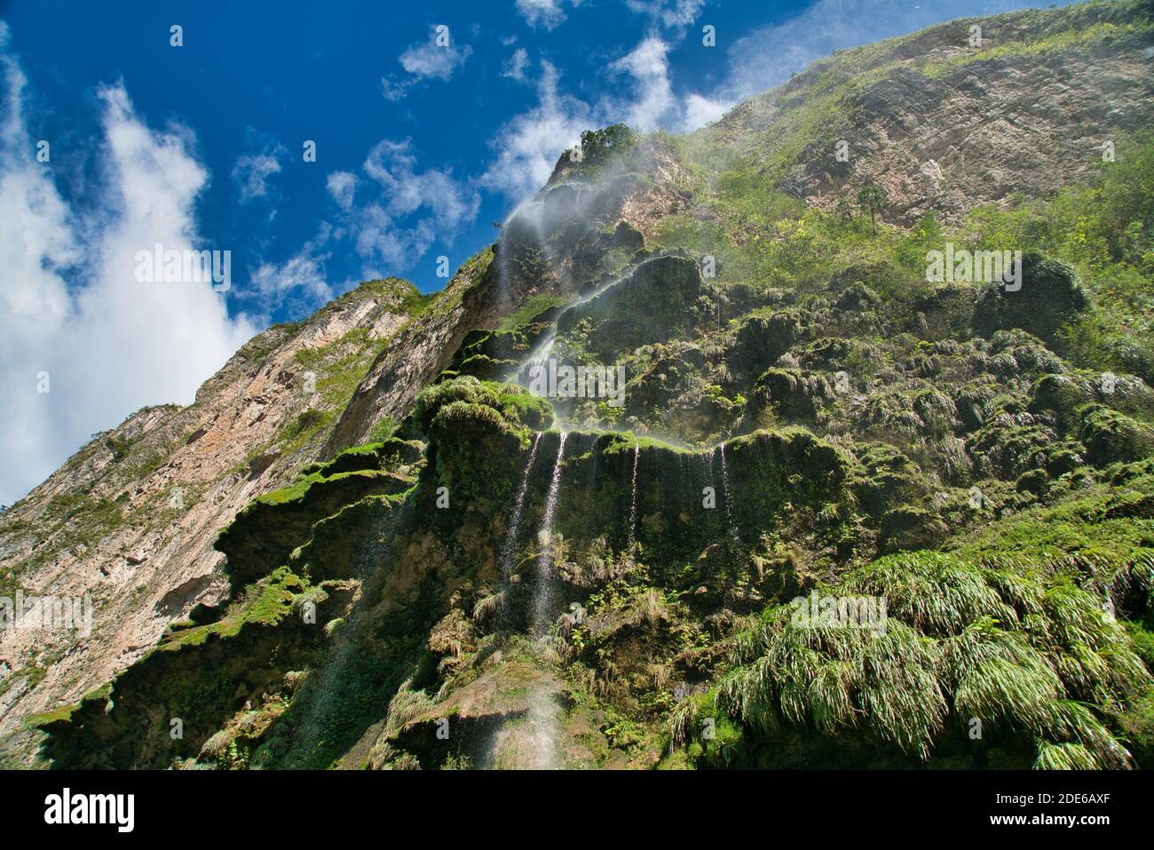 small waterfall "christmas tree" in the canyon de sumidero in Mexico ...