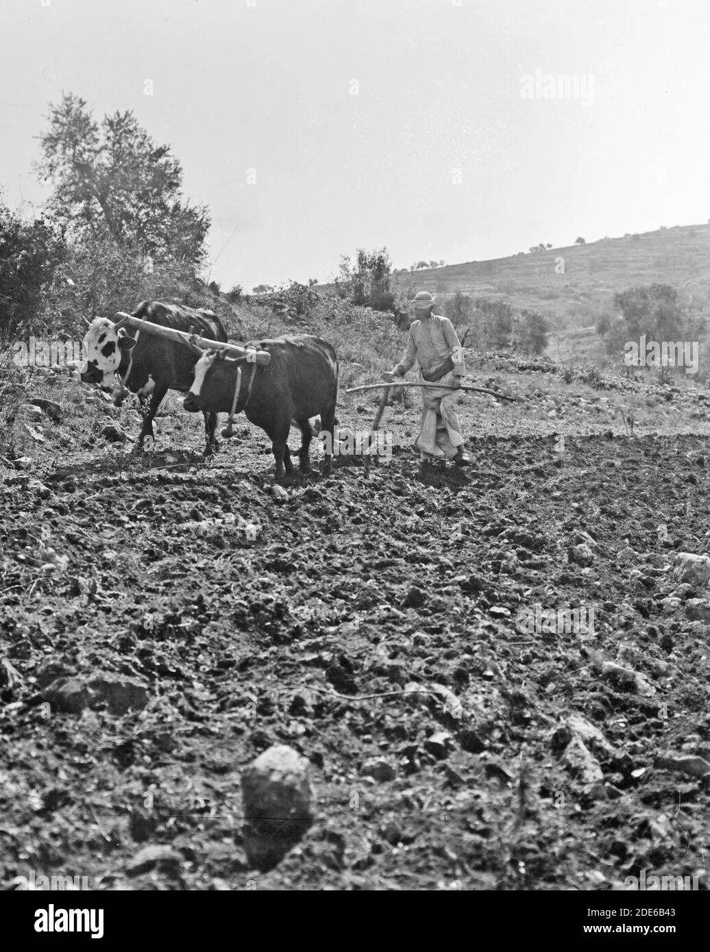 Plowing 1900s hi-res stock photography and images - Alamy