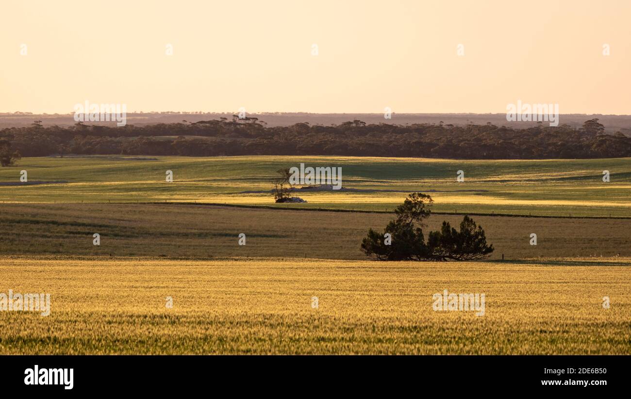 Gawler ranges hi-res stock photography and images - Alamy