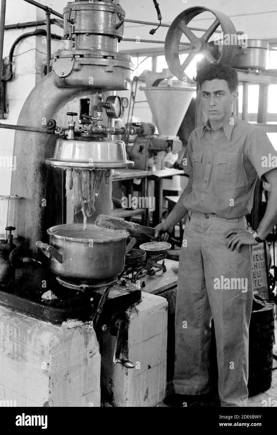 Original Caption: Jewish factories in Palestine on Plain of Sharon ...