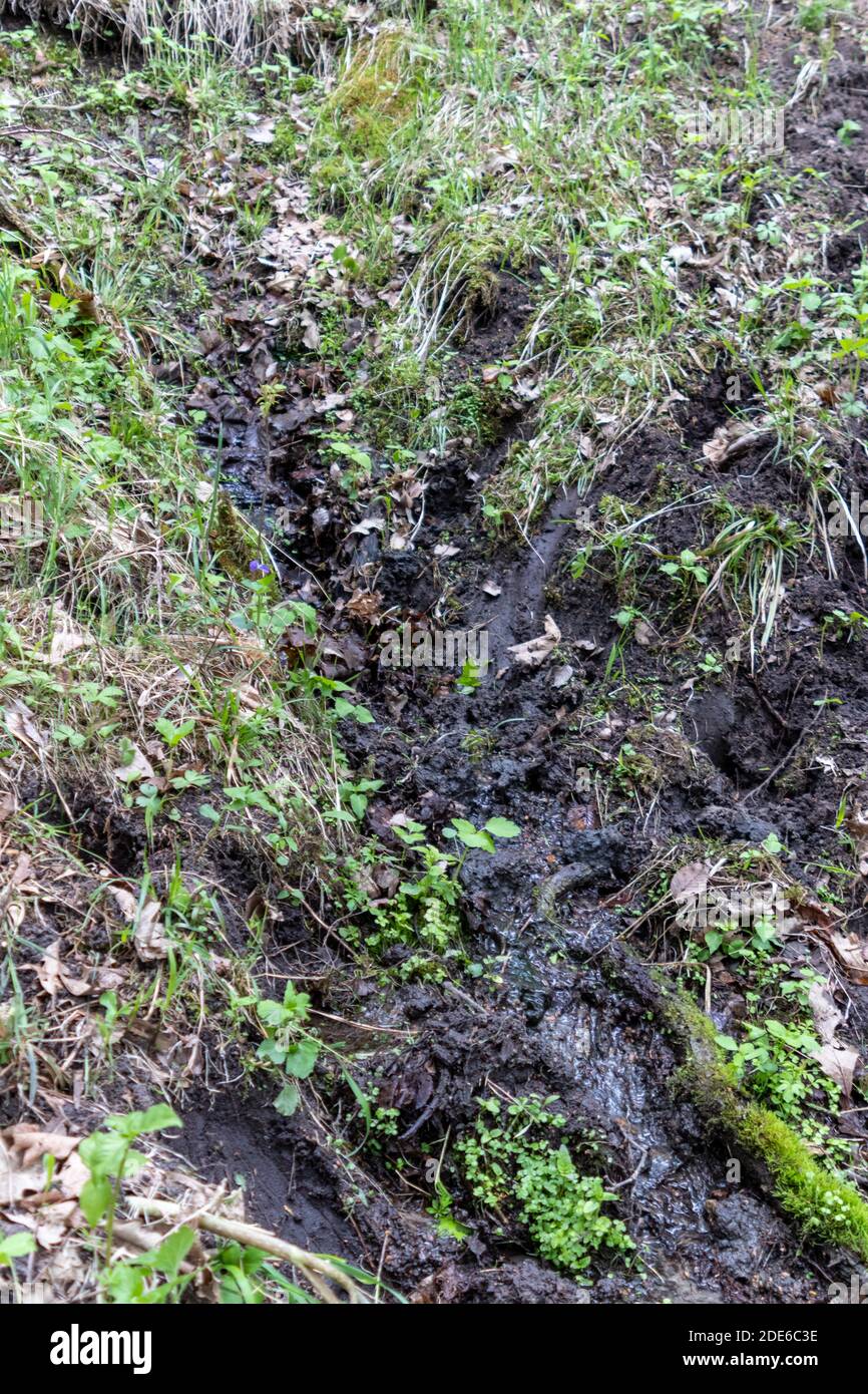 Water stream flowing out underground hi-res stock photography and ...