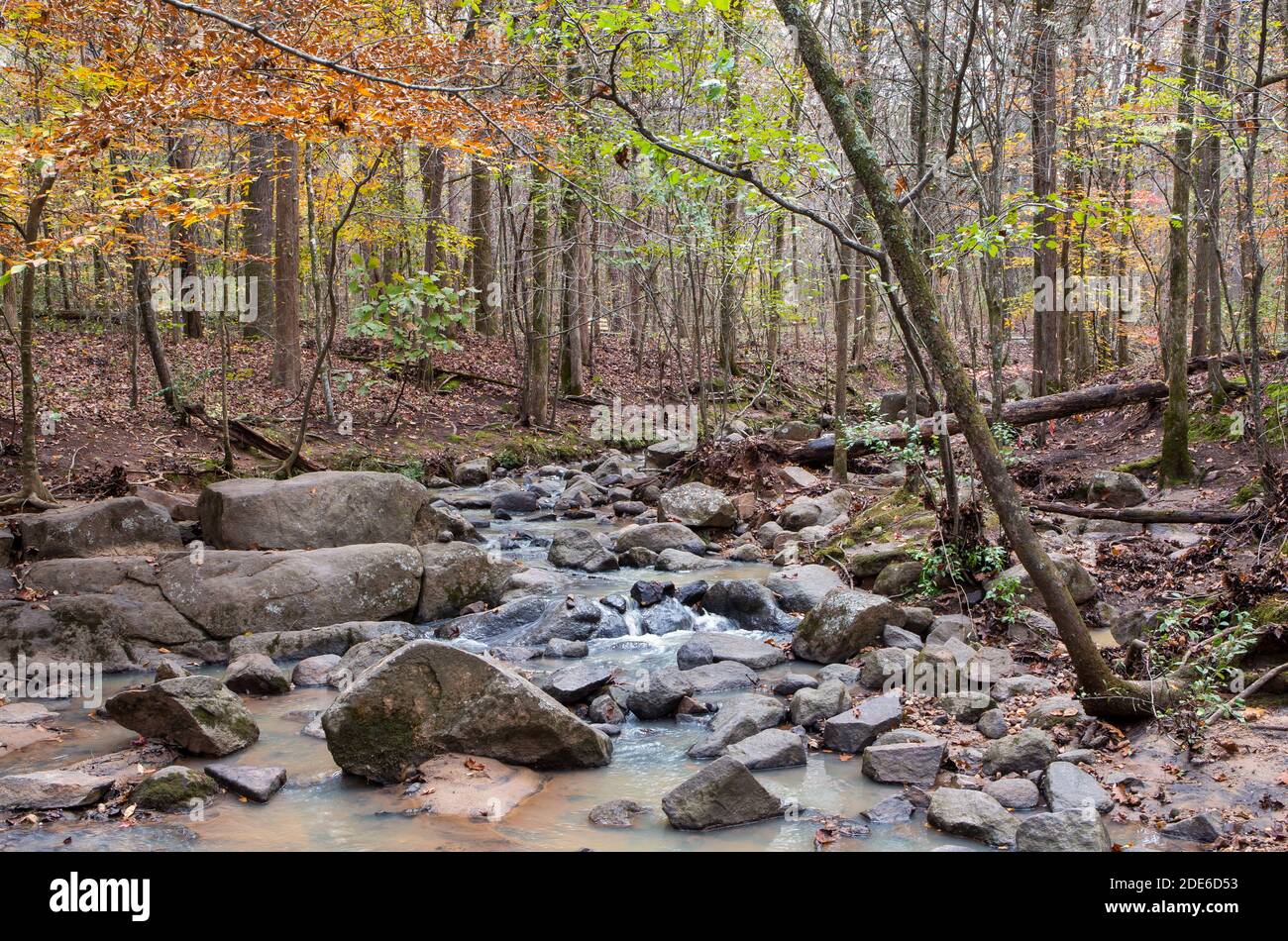 Creek flowing through a forest hi-res stock photography and images - Alamy