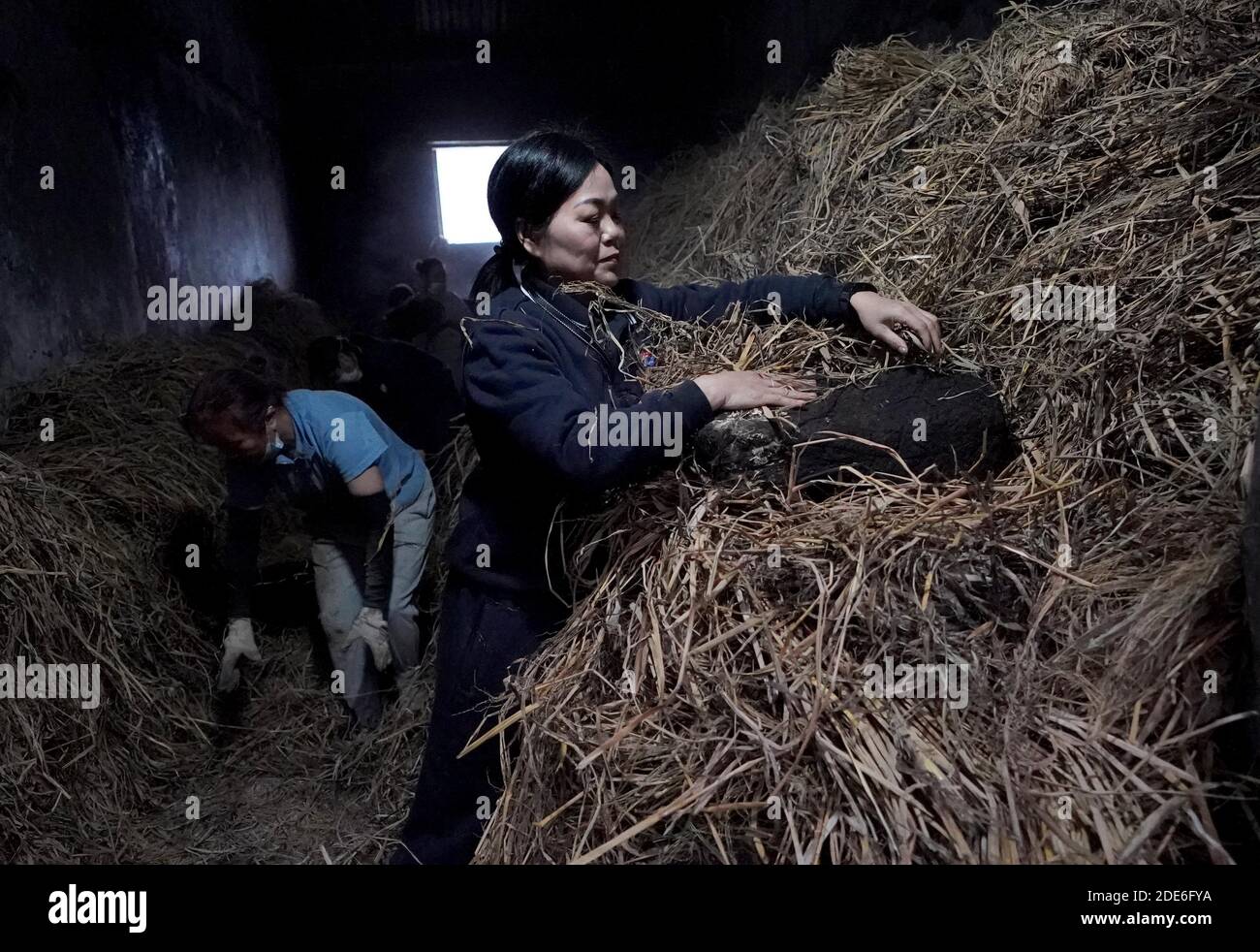 Spirit distillation hi-res stock photography and images - Alamy