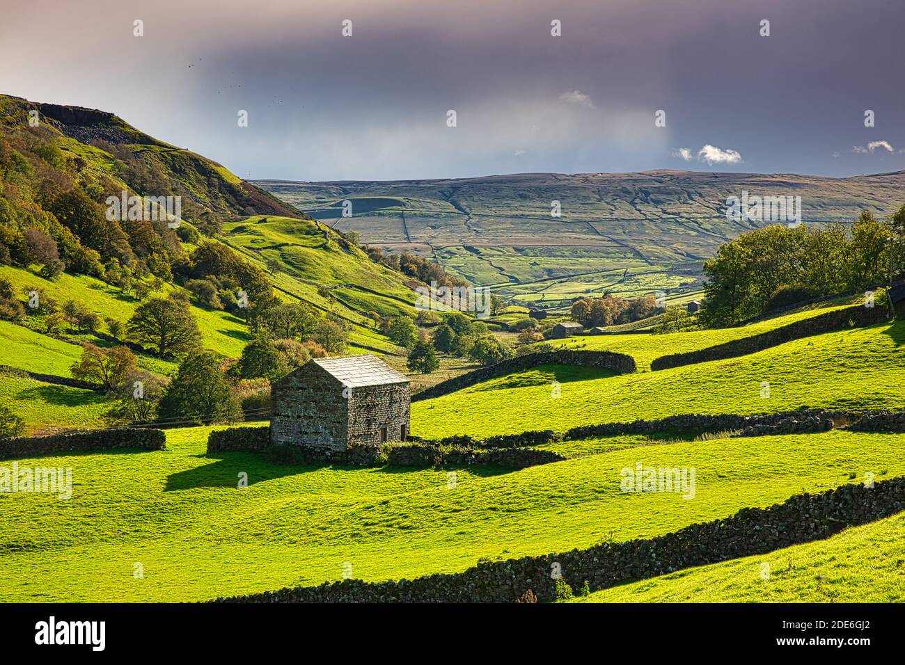 Hay Barns in Upper Swaledale in Autumn, Yorkshire Dales, England, UK ...