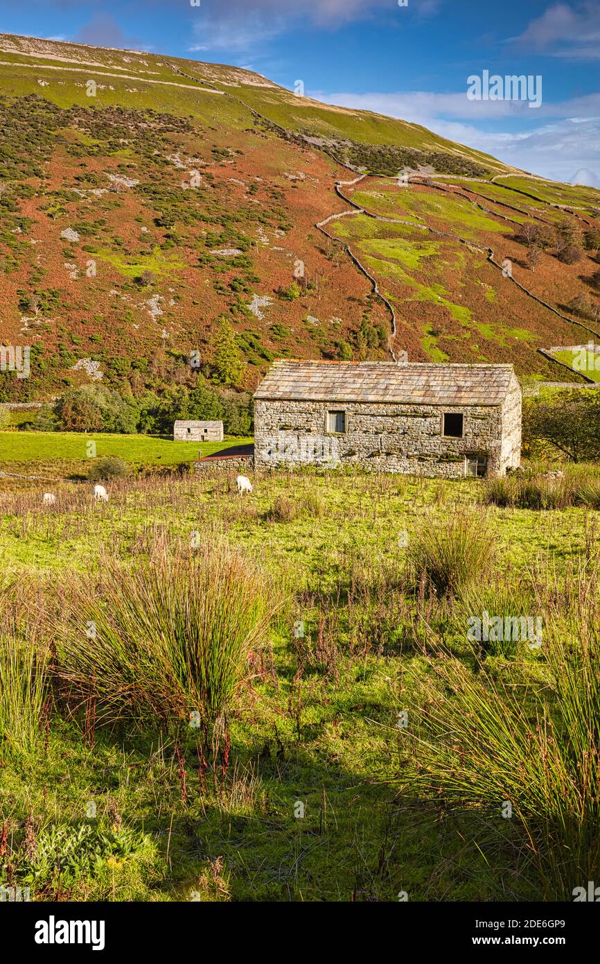 Hay Barns, Swaledale in Autumn, Yorkshire Dales, England, UK Stock ...