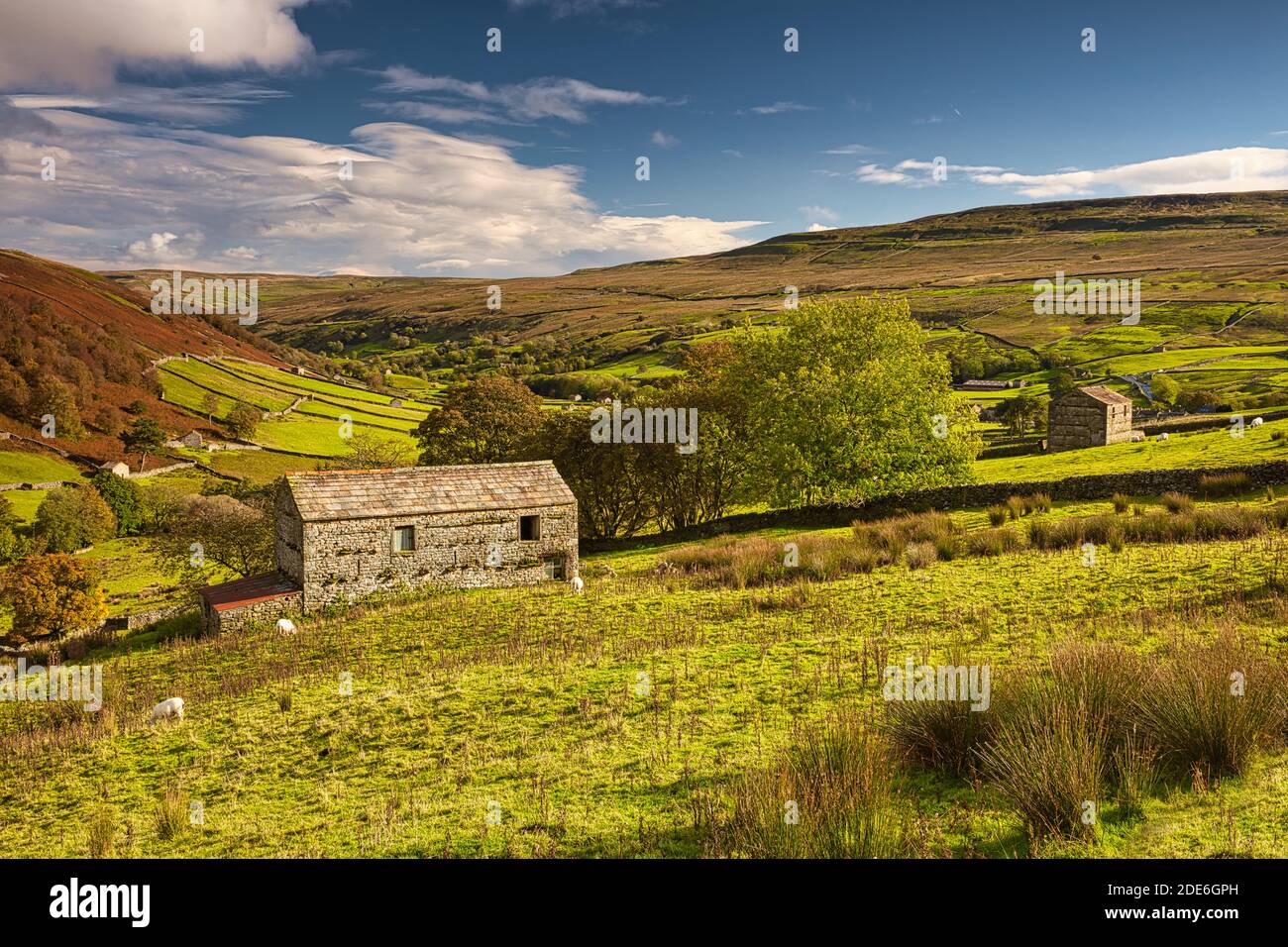 Hay Barns, Swaledale in Autumn, Yorkshire Dales, England, UK Stock ...