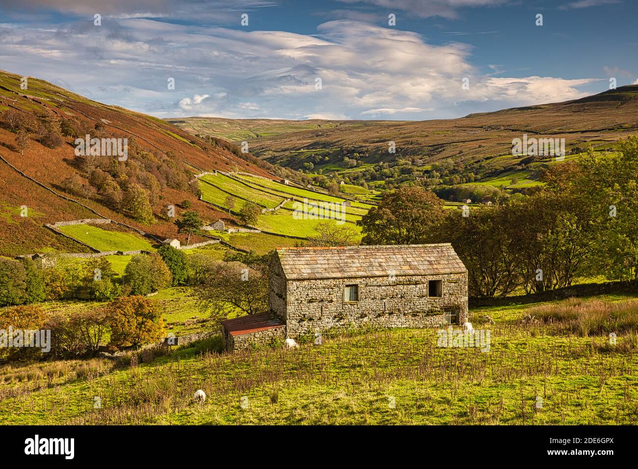 Hay Barns, Swaledale in Autumn, Yorkshire Dales, England, UK Stock ...