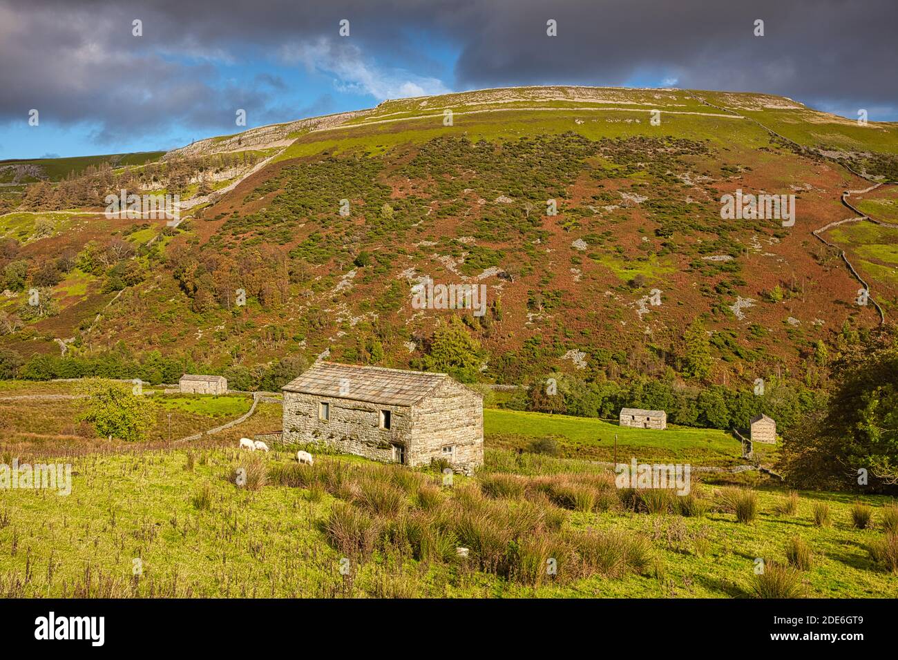Hay Barns, Swaledale in Autumn, Yorkshire Dales, England, UK Stock ...