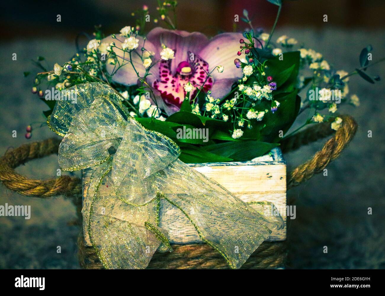 Orchids basket hi-res stock photography and images - Alamy