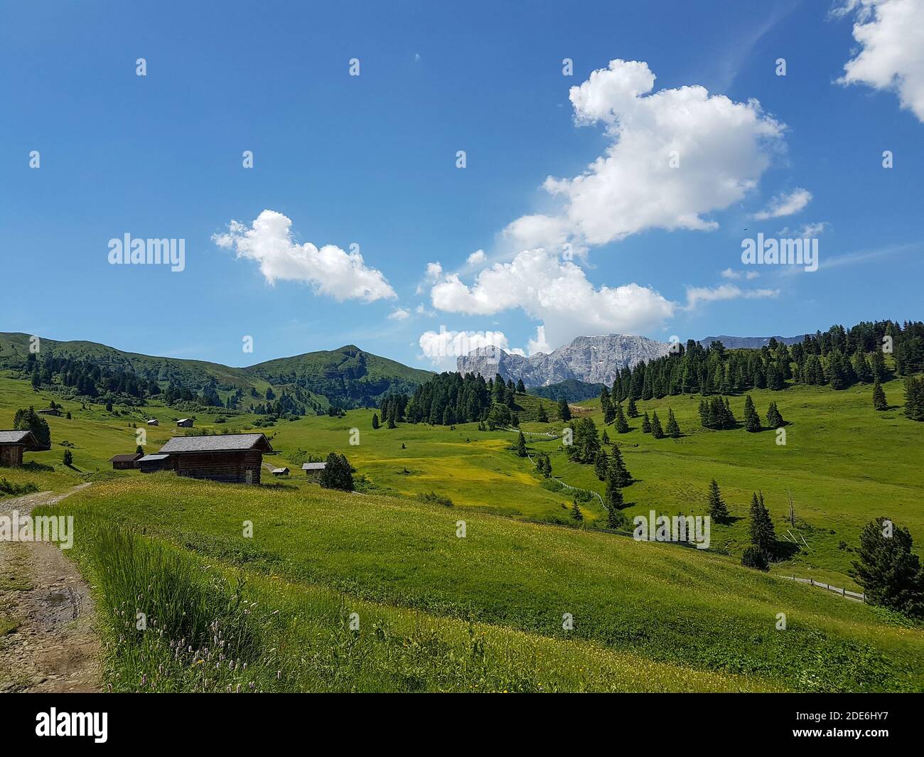 Austria tyrol meadow mountains flowers hi-res stock photography and ...