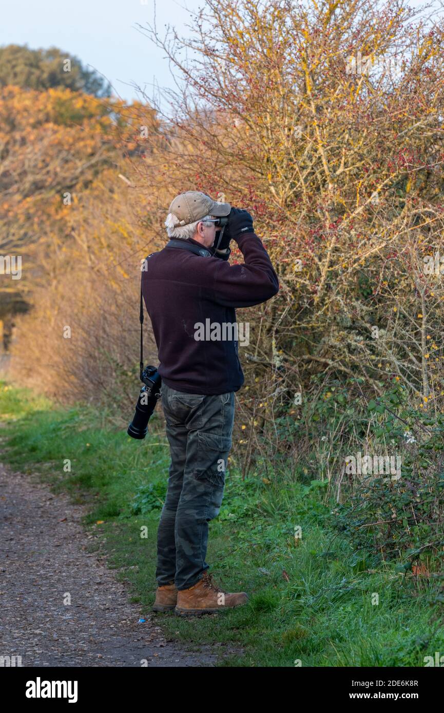 Man birding hi-res stock photography and images - Alamy
