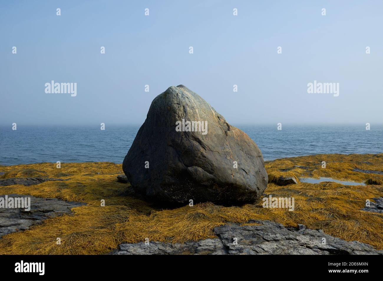 A large, triangular rock, boulder, sits on yellow seaweed over the blue ...