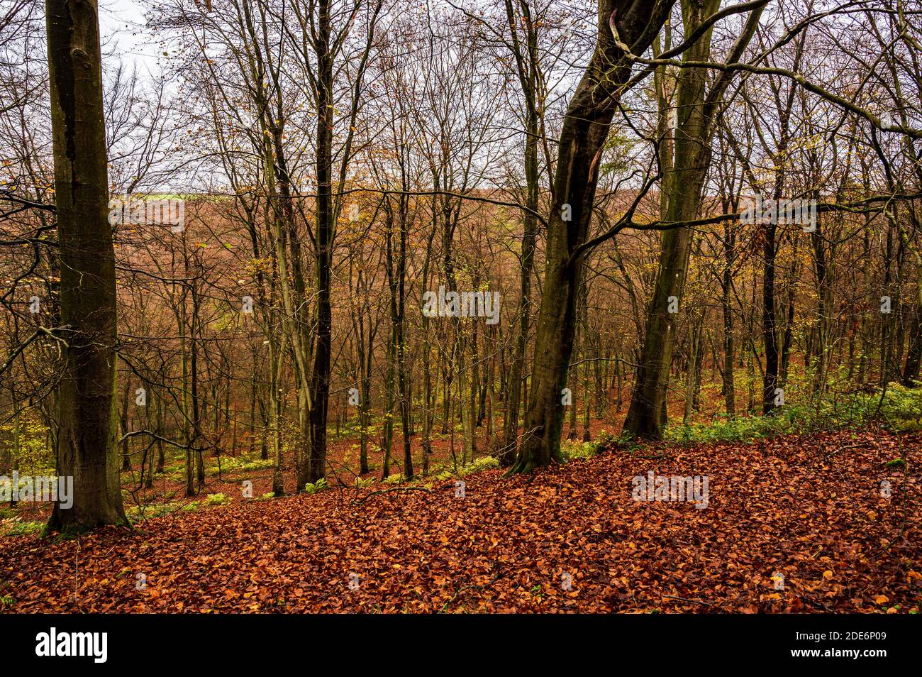 Friston hi-res stock photography and images - Alamy