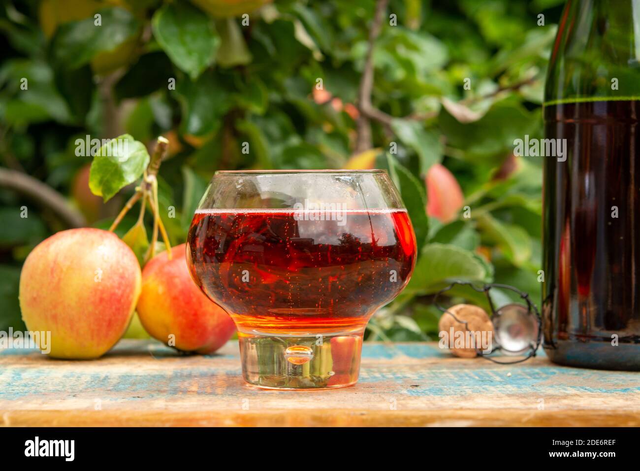 Glass of sweet rose apple cider from Normandy served in garden in ...