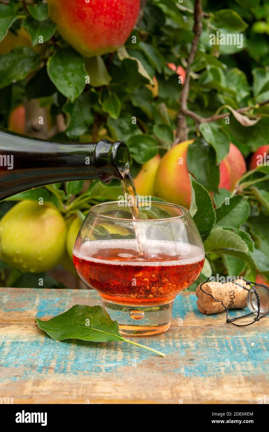 Cider pouring apple tree hi-res stock photography and images - Alamy