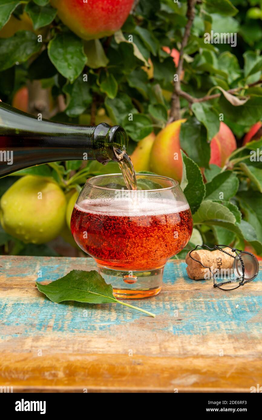 Cider pouring apple tree hi-res stock photography and images - Alamy