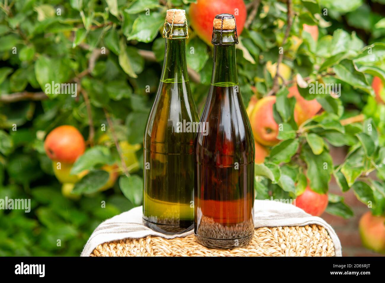 Brut and rose apple cider from Normandy in bottles, France and green ...
