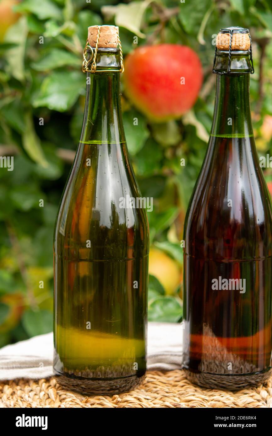 Brut and rose apple cider from Normandy in bottles, France and green ...